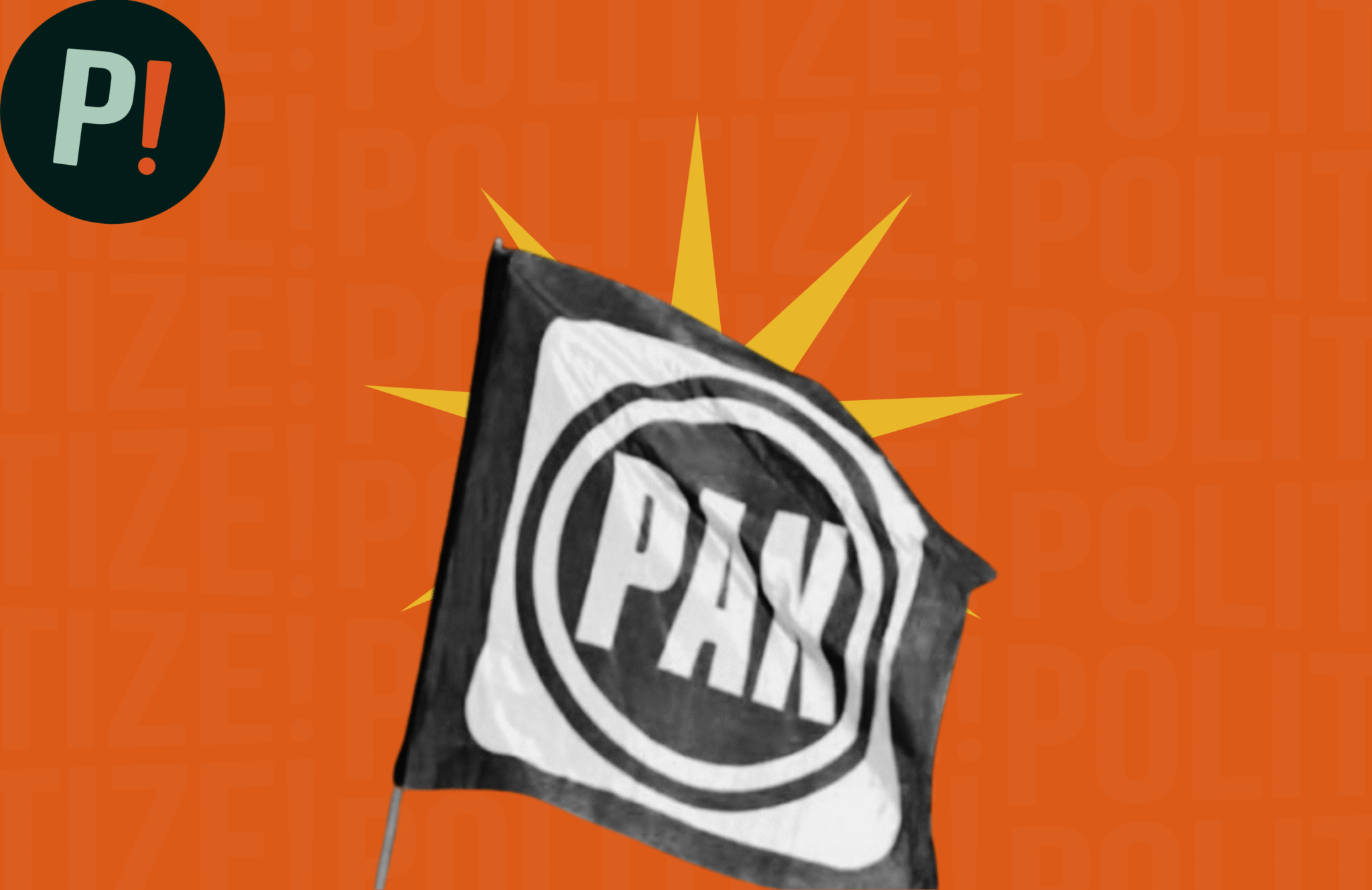 Partido Acción Nacional (PAN): historia y agenda política